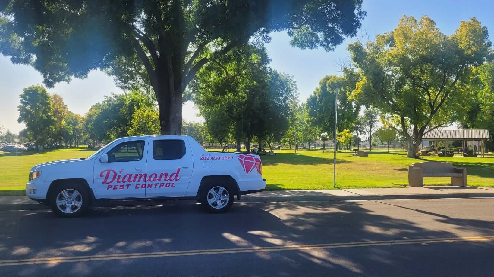 Diamond Pest Control Modesto, CA - Safe & Effective Pest Removal
