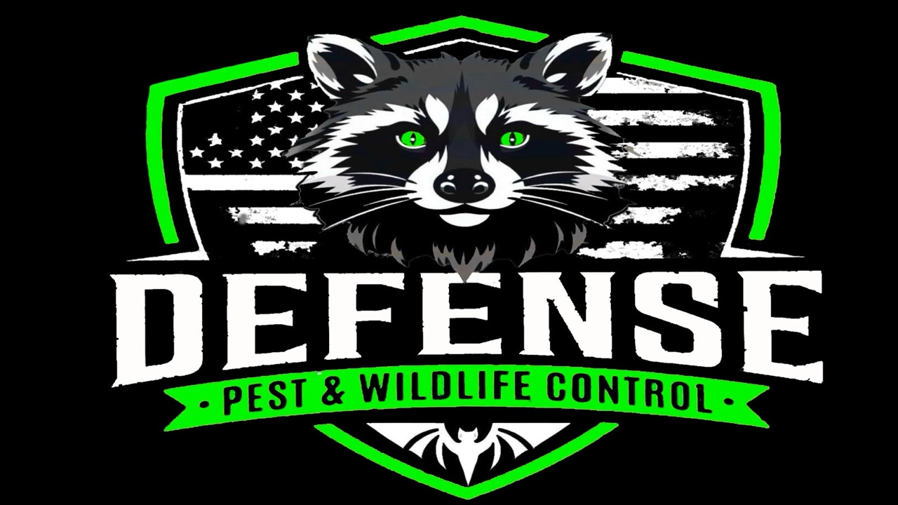 Defense Pest Control Blog: Pest Tips & Wildlife News for Your Home